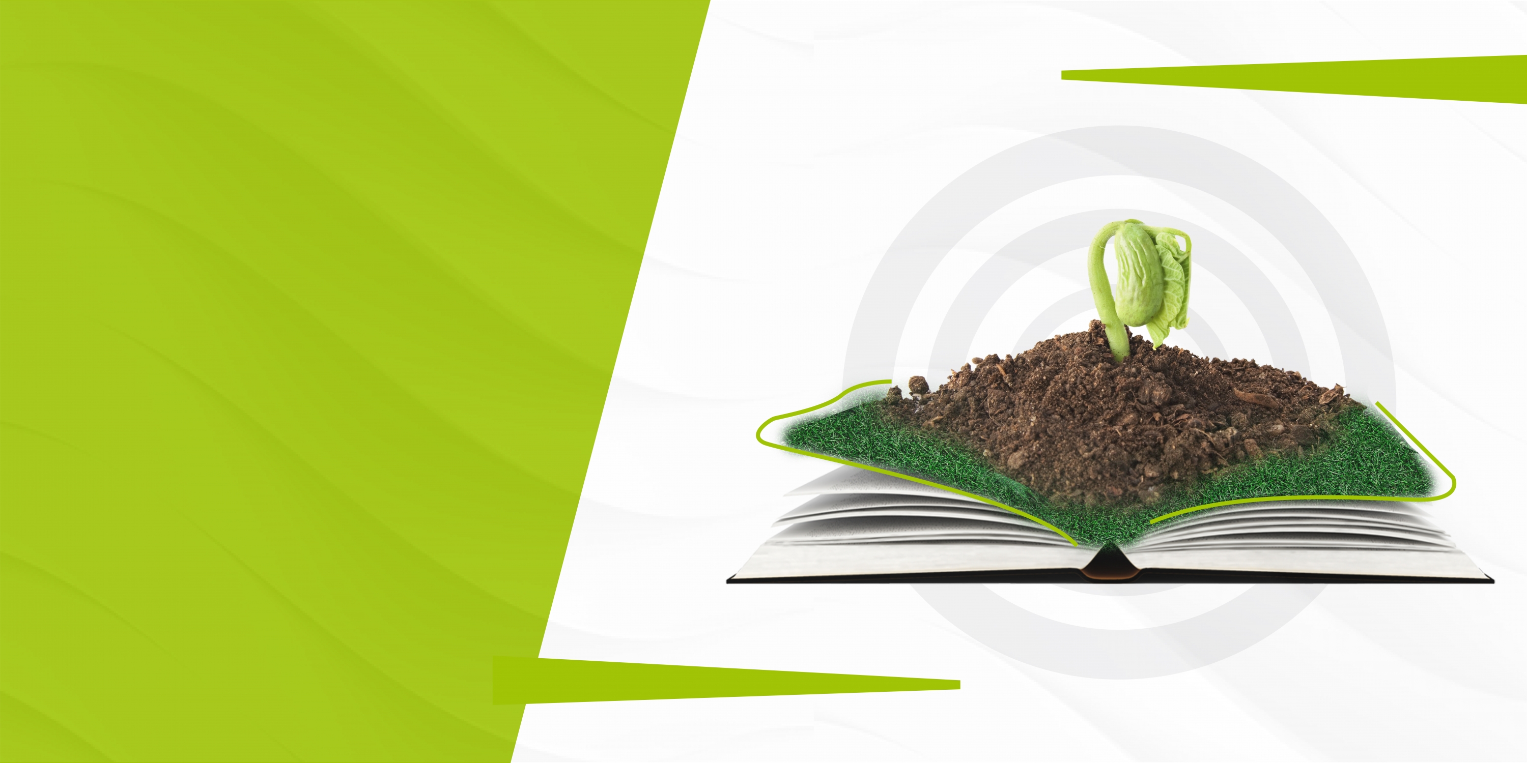 Home | Institute of Distance Learning-KNUST